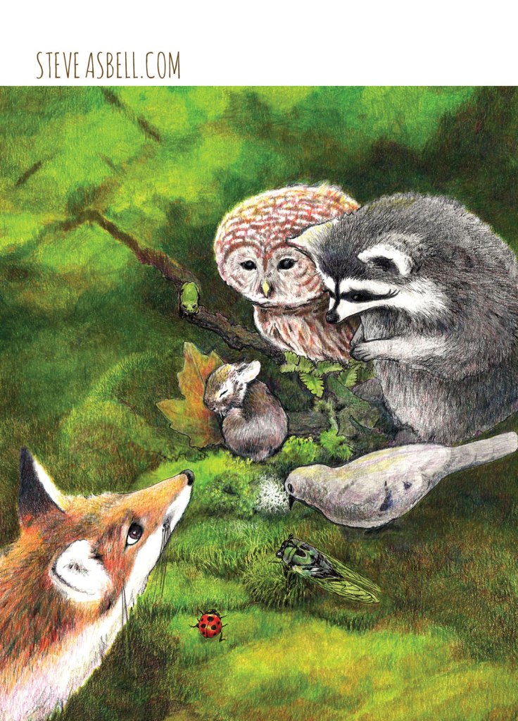 The Postcard Post: Steve Asbell – Sub It Club